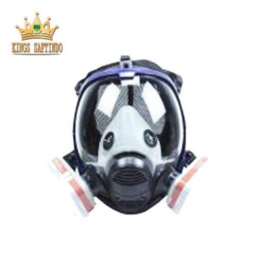 Full Face Mask double respirator Cartridge with filter ANBEN FIRE ...